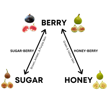 FIG TREES | A WIDE VARIETY OF FLAVOR PROFILES & SIZES | LAZY DOG FARM ...