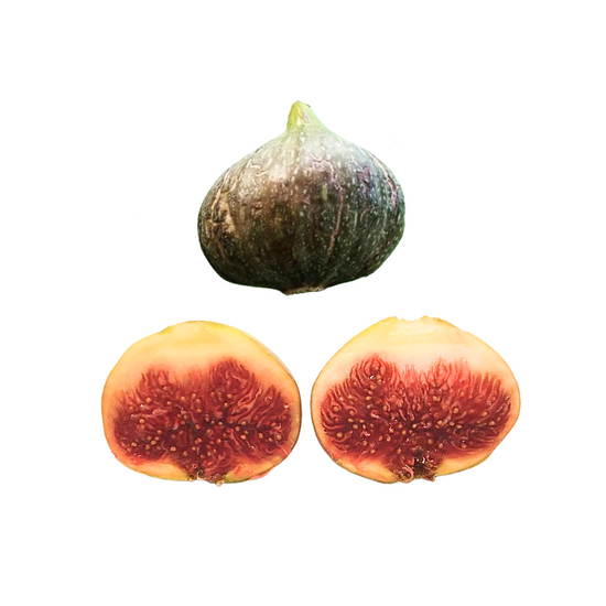 Black Zadar Fig Tree | Unique, Large Berry Fig | Lazy Dog Farm