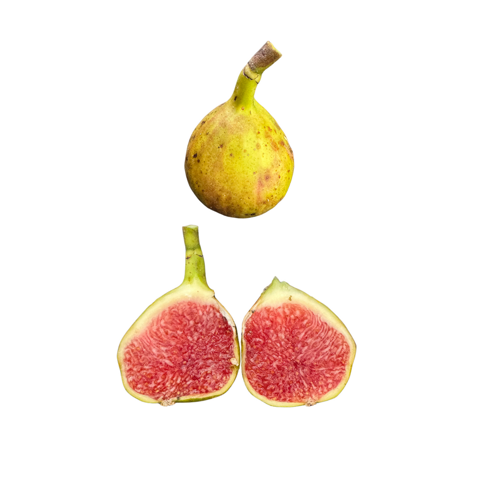 BERRY FIGS | DEEP RED COLOR WITH BERRY FLAVORS | LAZY DOG FARM – Lazy ...