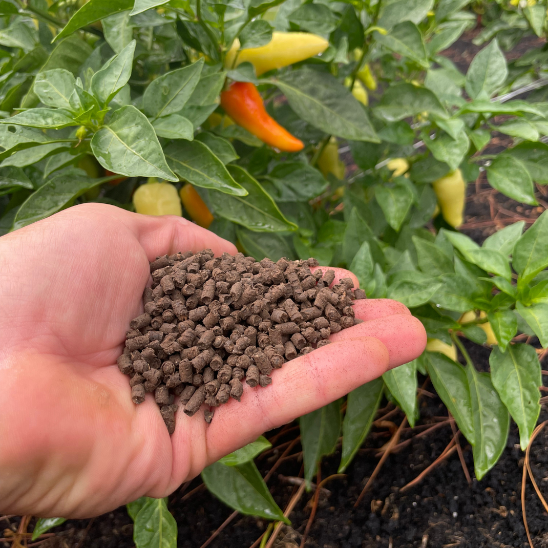 Coop Gro Fertilizer | 6 lbs | Organic Fertilizer | Lazy Dog Farm