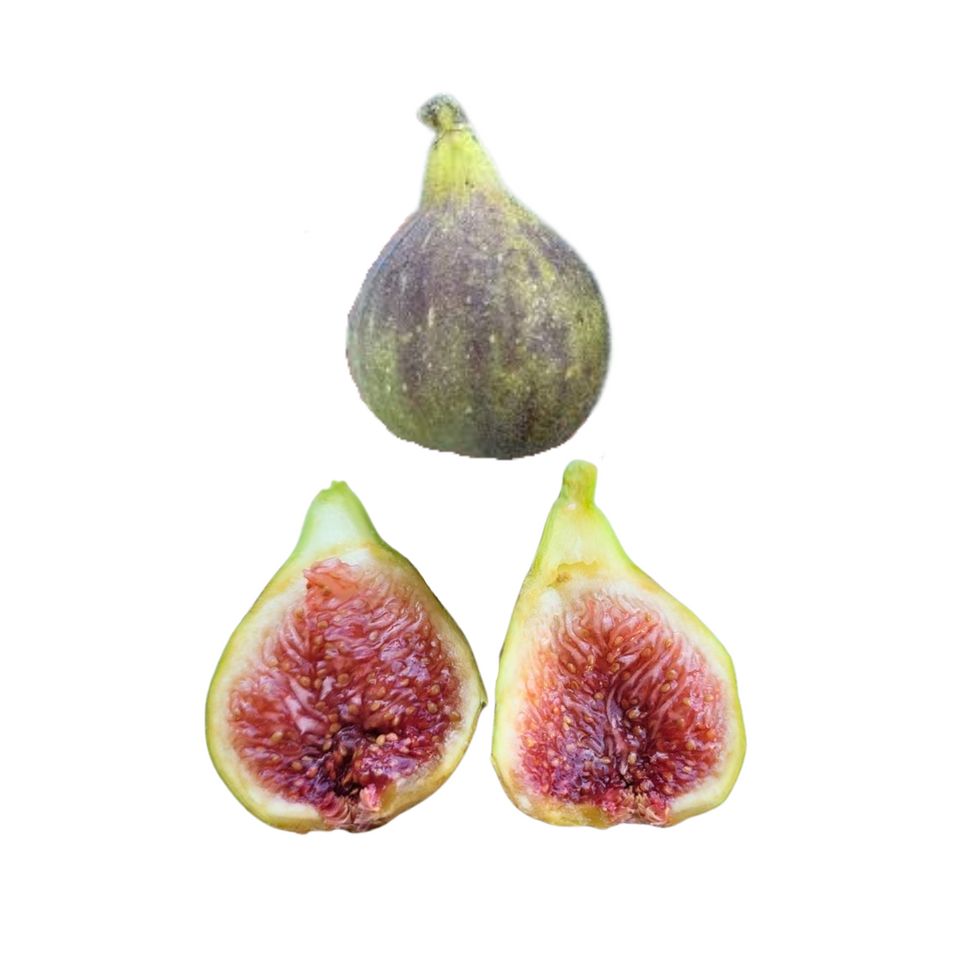 BERRY FIGS | DEEP RED COLOR WITH BERRY FLAVORS | LAZY DOG FARM – Lazy ...