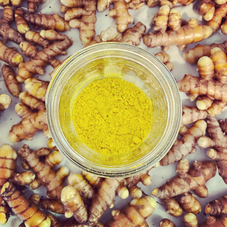 Turmeric Plants – Lazy Dog Farm