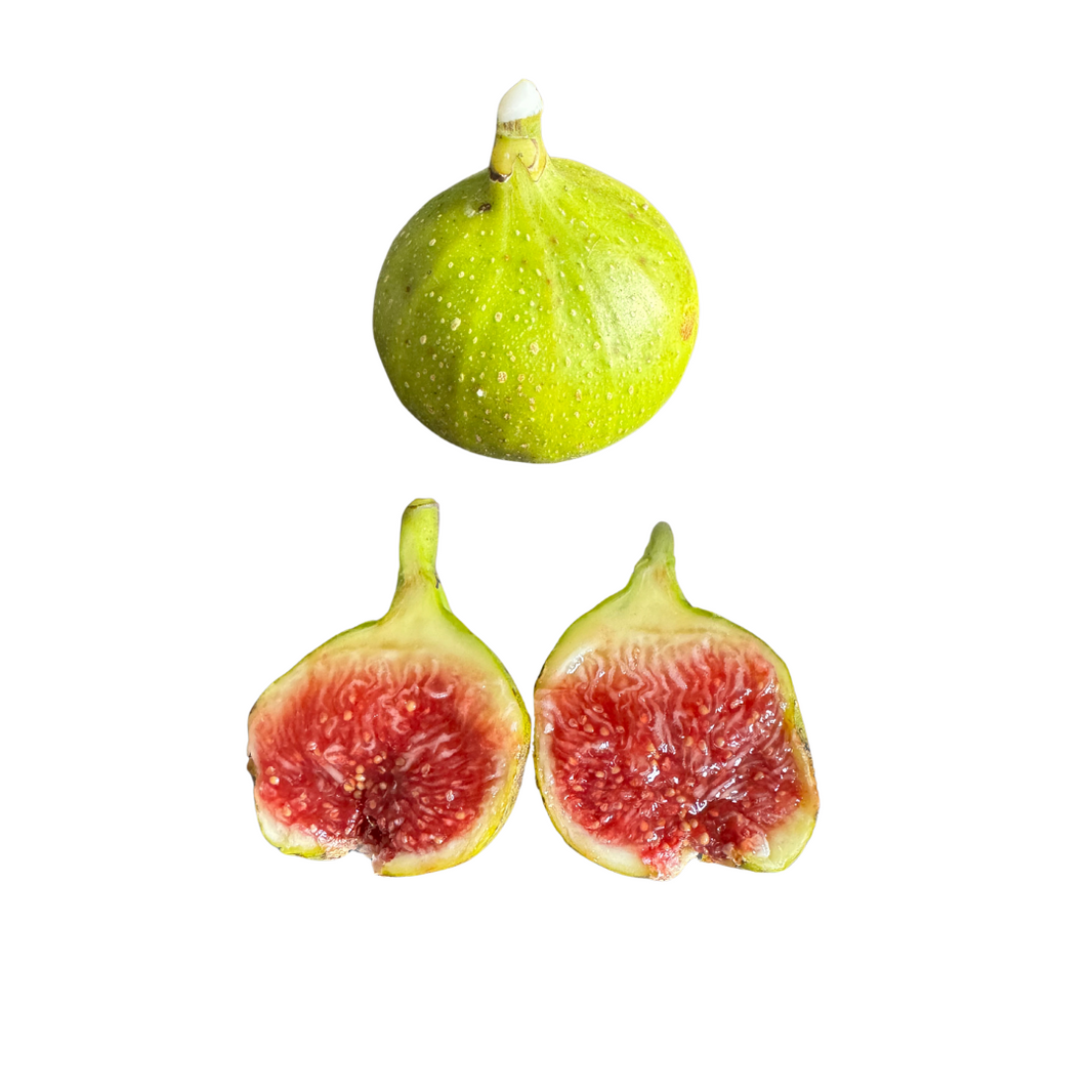 FIG TREES | A WIDE VARIETY OF FLAVOR PROFILES & SIZES | LAZY DOG FARM ...