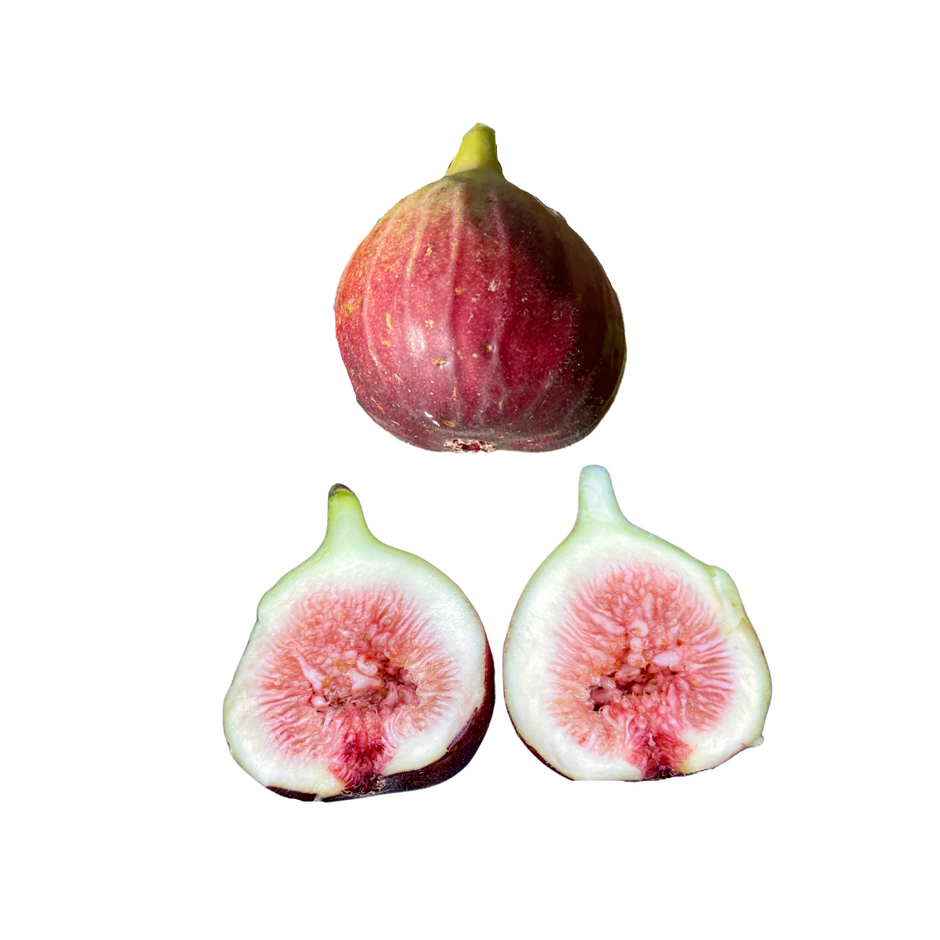 FIG TREES | A WIDE VARIETY OF FLAVOR PROFILES & SIZES | LAZY DOG FARM ...