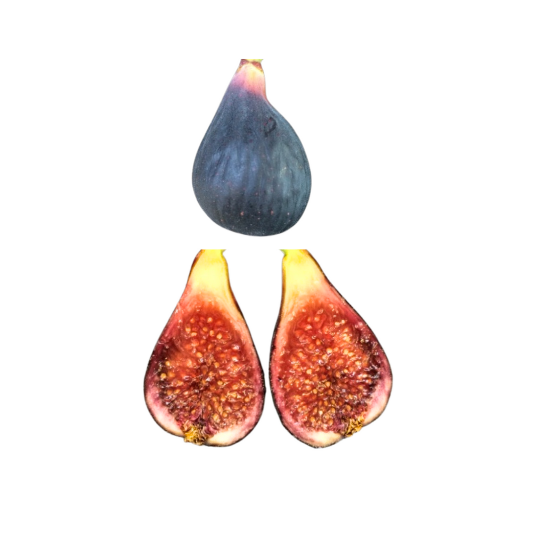 BERRY FIGS | DEEP RED COLOR WITH BERRY FLAVORS | LAZY DOG FARM – Lazy ...