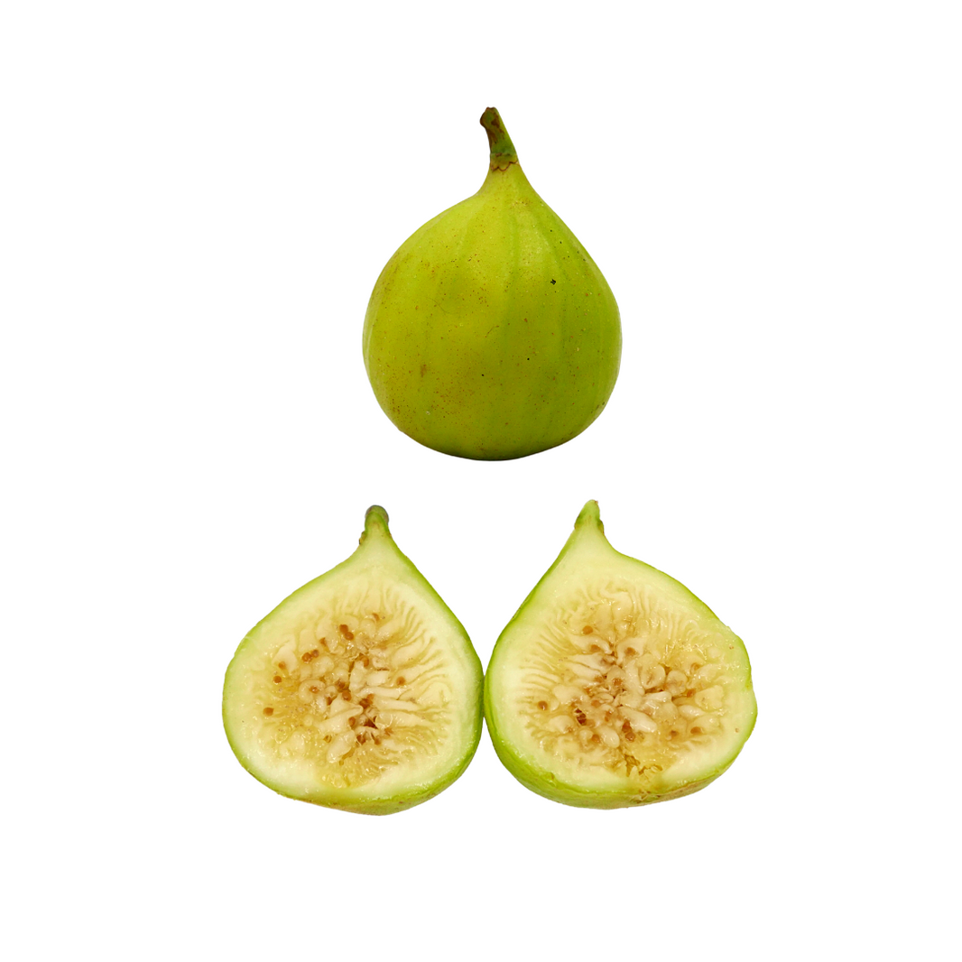 FIG TREES | A WIDE VARIETY OF FLAVOR PROFILES & SIZES | LAZY DOG FARM ...