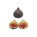 Italian 258 Fig Tree | Sweet & Complex Berry Flavors | Lazy Dog Farm